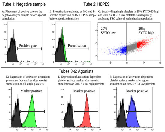 Advanced Flow Cytometry Using the SYTO-13 Dye for the Assessment of ...