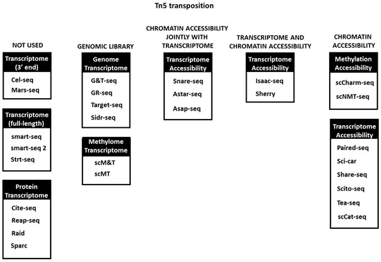 Tn5 DNA Transposase in Multi-Omics Research