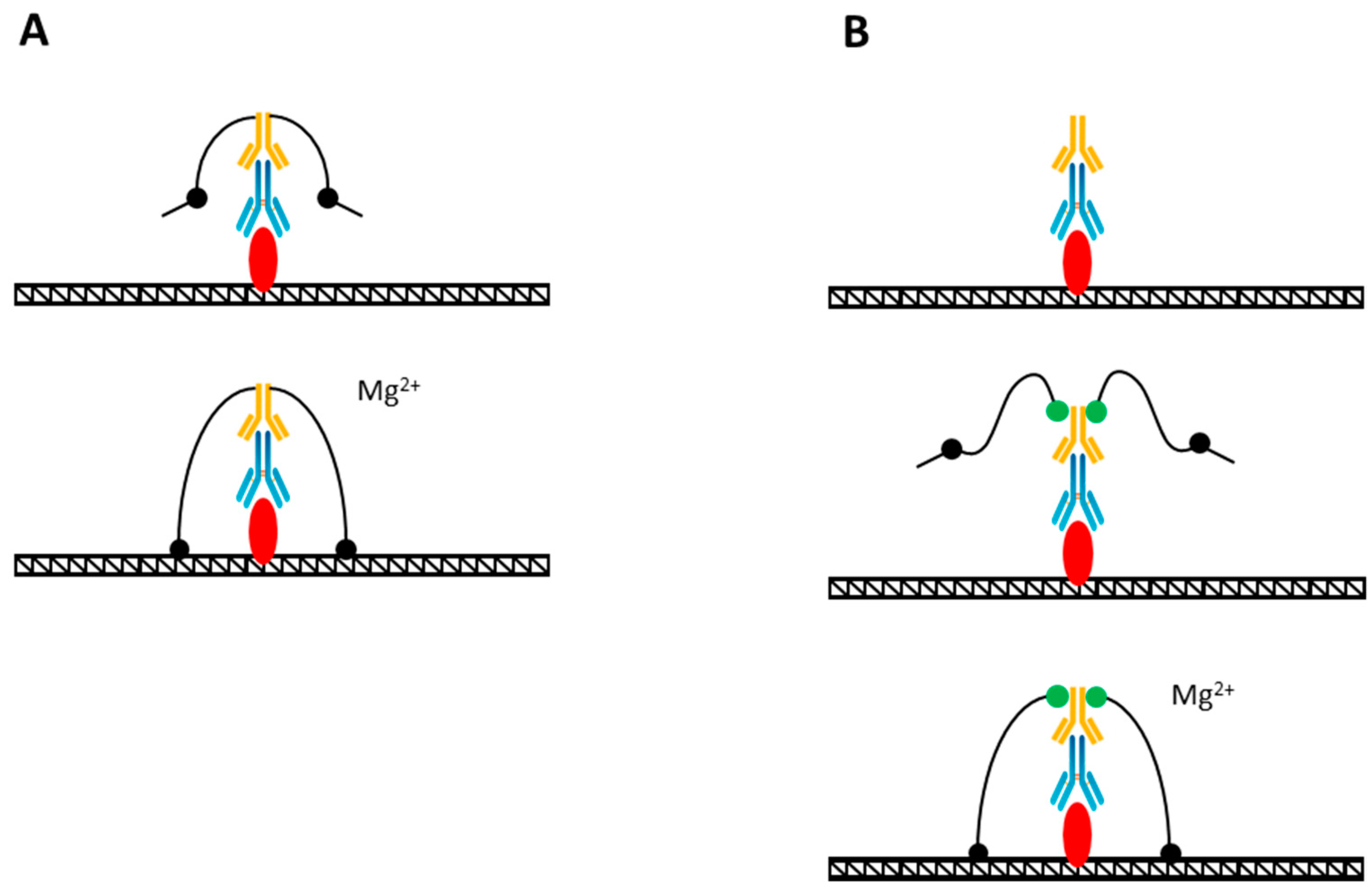 Tn5 DNA Transposase in Multi-Omics Research