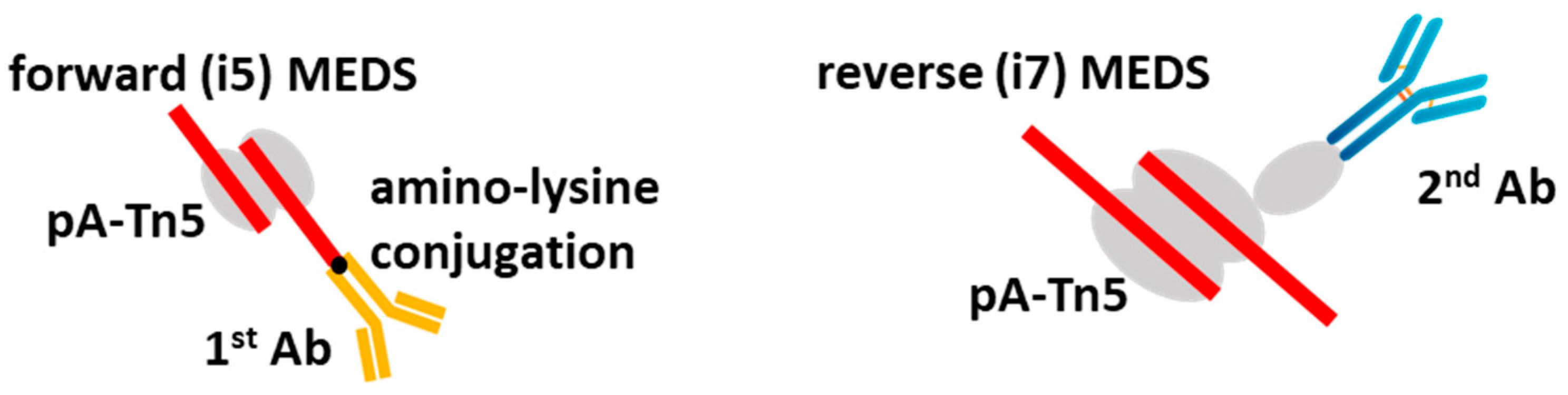 Tn5 DNA Transposase in Multi-Omics Research