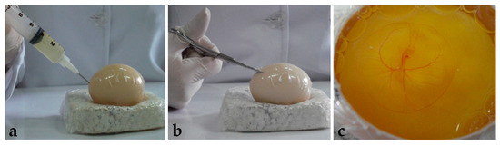 Critical Evaluation of Embedding Media for Histological Studies of ...