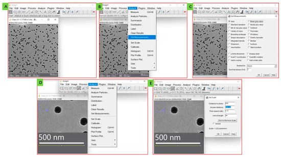Precise Analysis of Nanoparticle Size Distribution in TEM Image