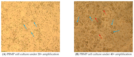 Novel Protocol for the Preparation of Porcine Bone Marrow Primary Cell ...