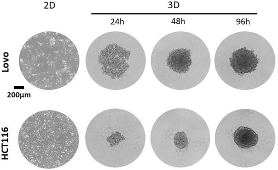 A Simple and Fast Method for the Formation and Downstream Processing of ...