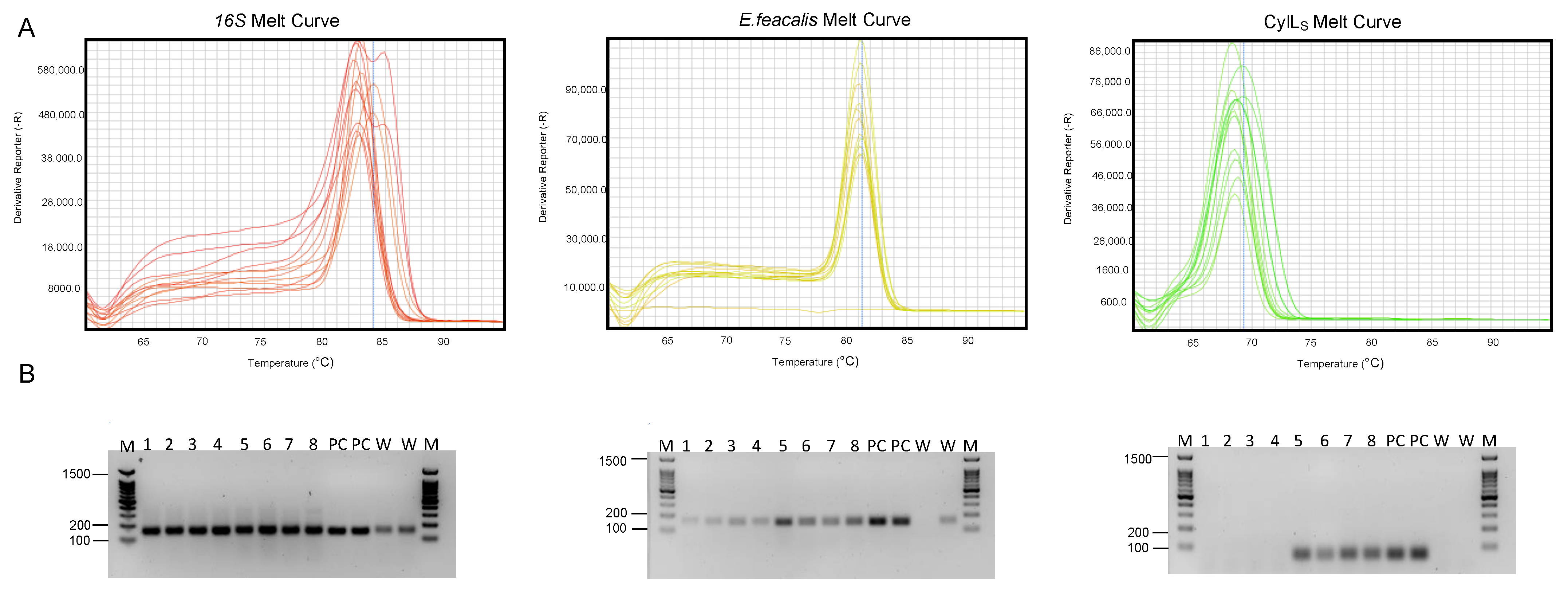 Development of a Quantitative PCR Method for Detecting Enterococcus ...