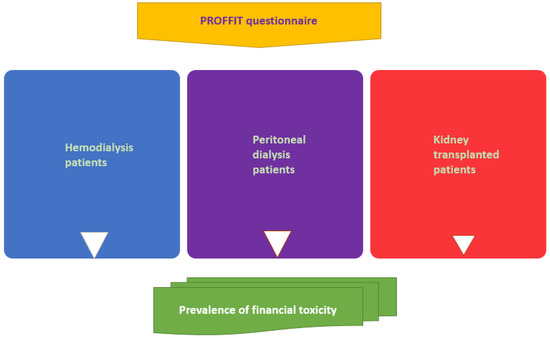 Financial Toxicity in Renal Patients (FINTORE) Study: A Cross-Sectional ...