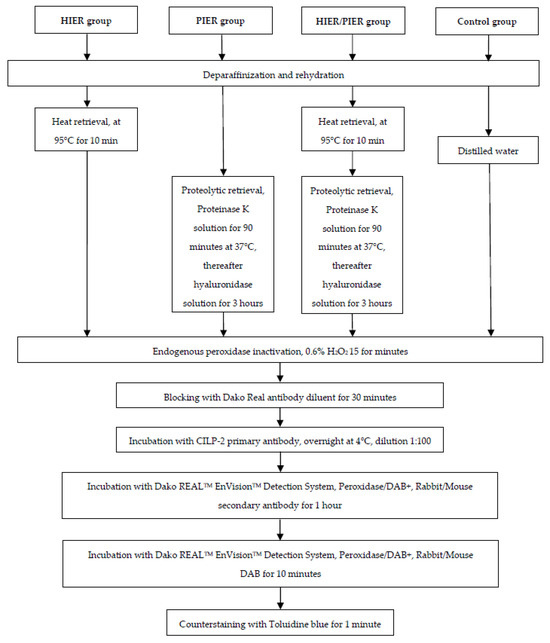 MPs | Free Full-Text | Comparison of Antigen Retrieval Methods for Immunohistochemical Analysis ...
