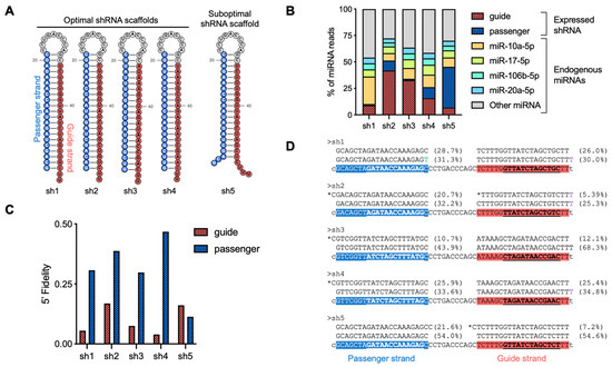 Analysis of Processing, Post-Maturation, and By-Products of shRNA in ...
