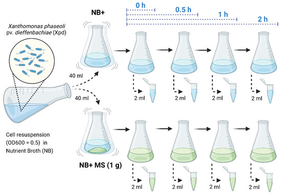 Optimal Reference Gene Selection and Potential Target Gene ...