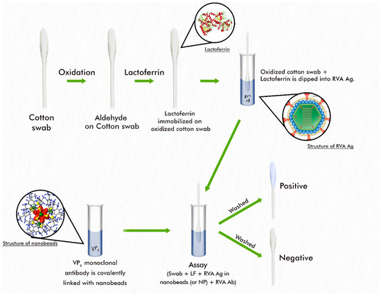 Development and Evaluation of a Nanoparticle-Based Immunoassay for ...