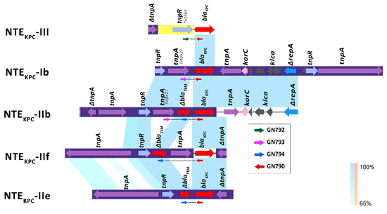 In Silico Analysis and PCR Characterization of non-Tn4401 Transposable ...