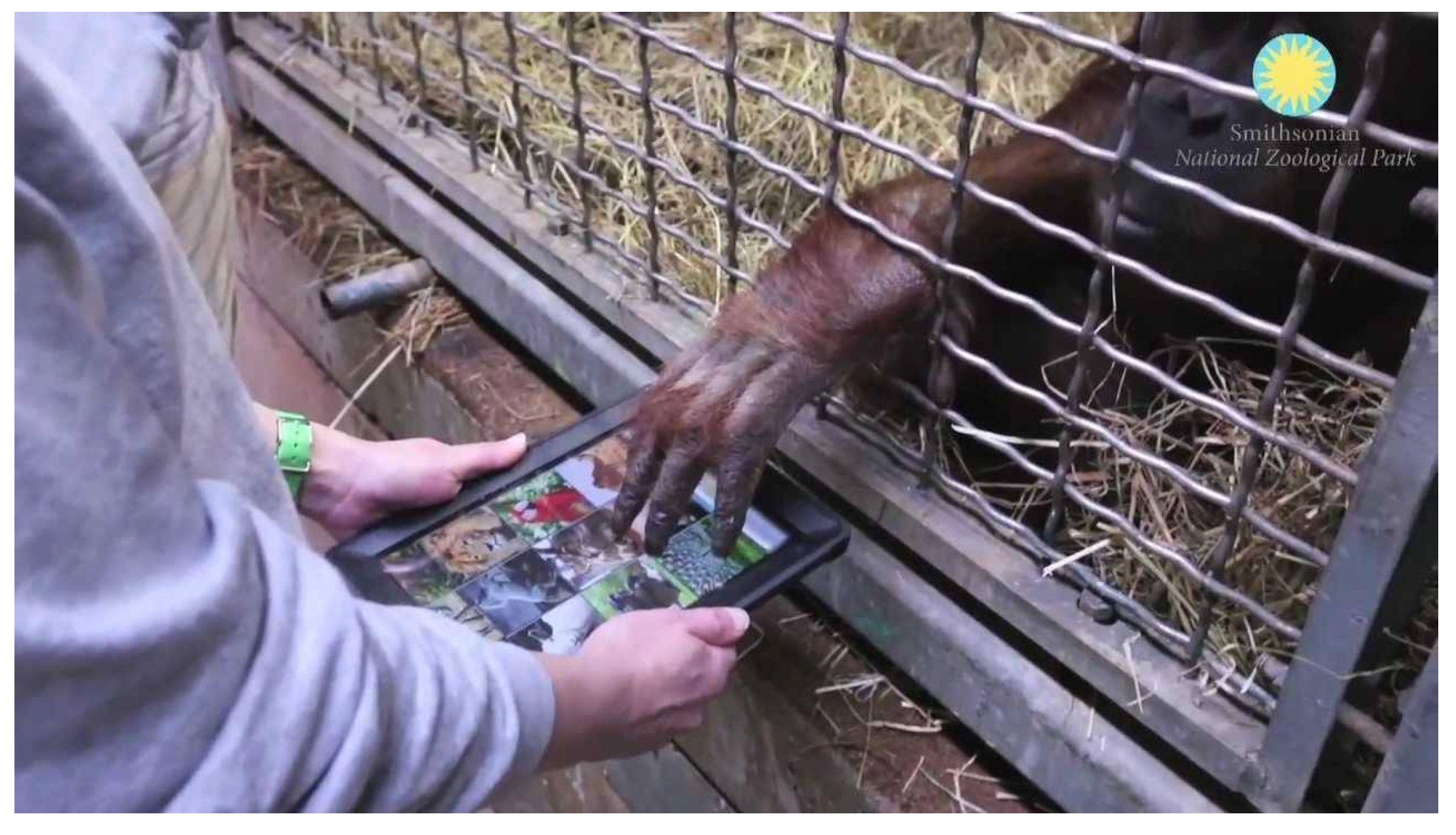 MTI | Free Full-Text | Seven Years after the Manifesto: Literature ...