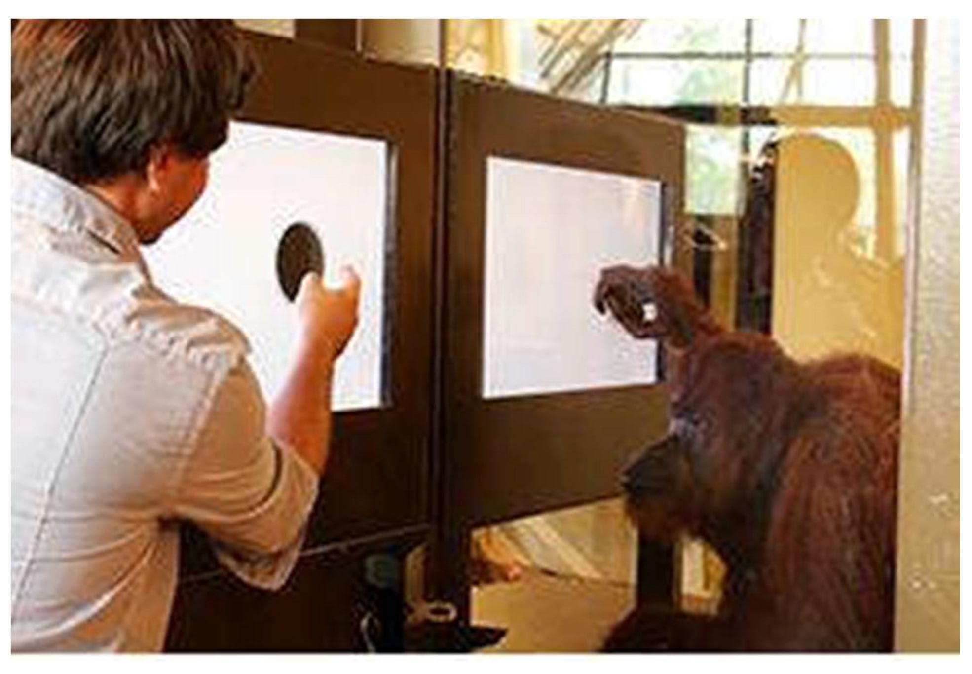 MTI | Free Full-Text | Seven Years after the Manifesto: Literature ...