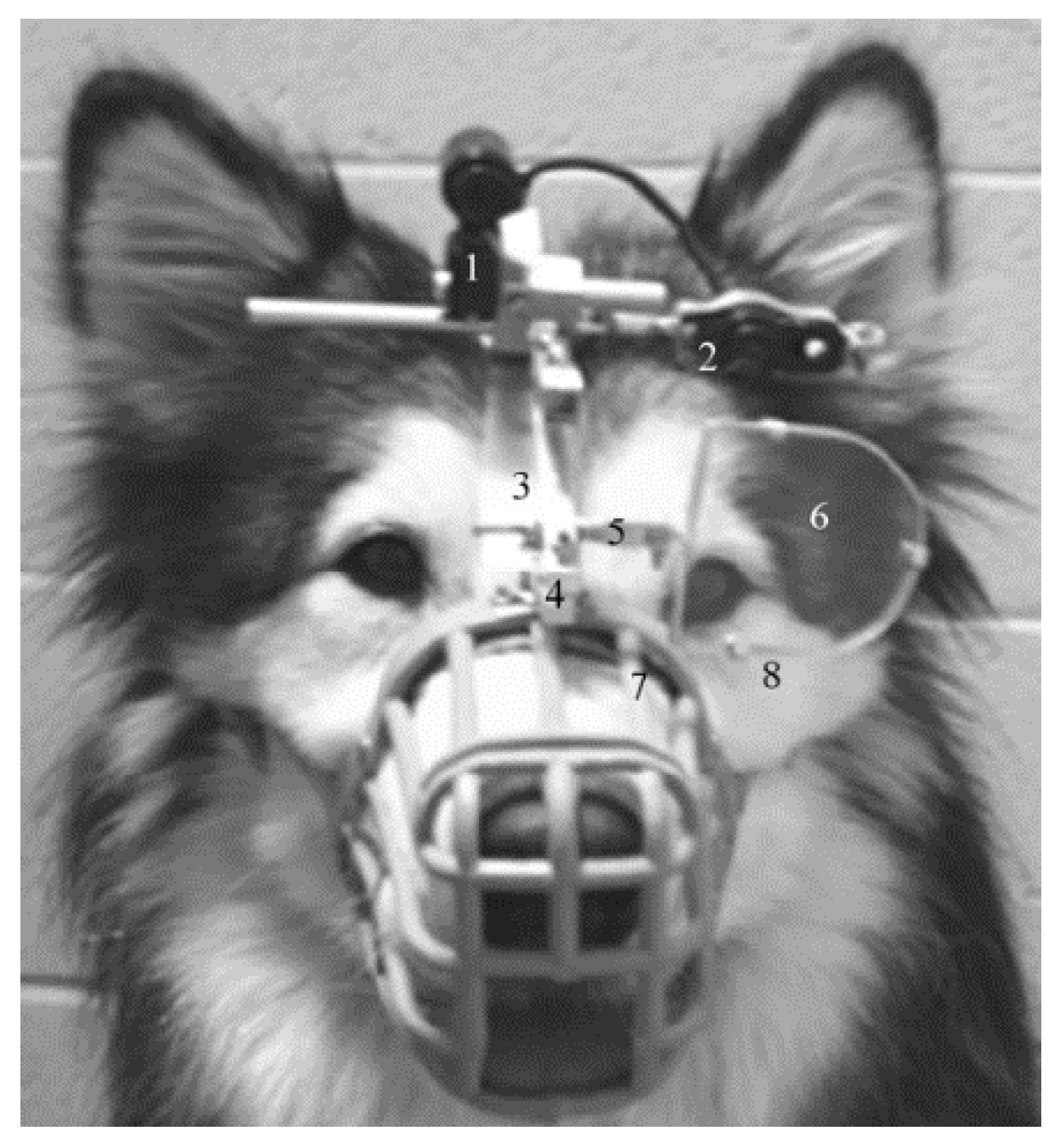 MTI | Free Full-Text | Seven Years after the Manifesto: Literature ...