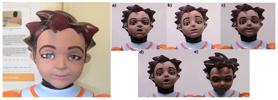 Fostering Emotion Recognition in Children with Autism Spectrum Disorder