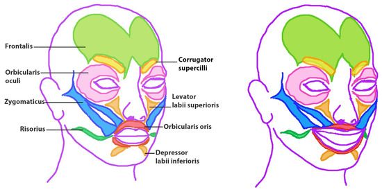 Expressive Interaction Design Using Facial Muscles as Controllers