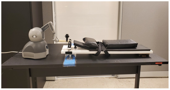 Effect of Arm Pivot Joints on Stiffness Discrimination in Haptic ...