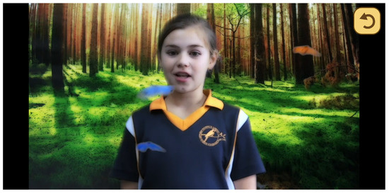 Forest Classroom: A Case Study of Educational Augmented Reality Design ...