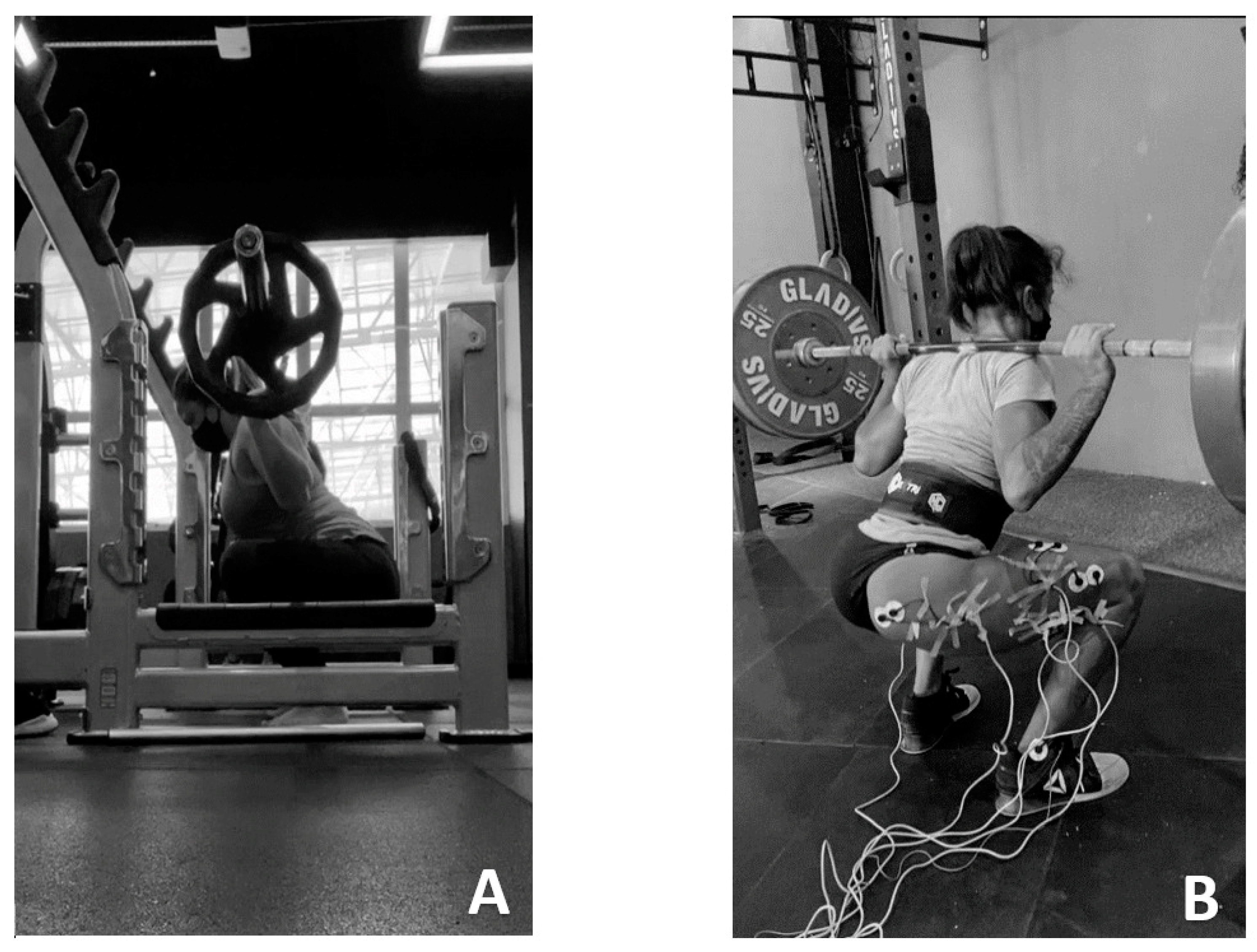 Muscle Activation during the Squat Performed in Different Ranges of ...