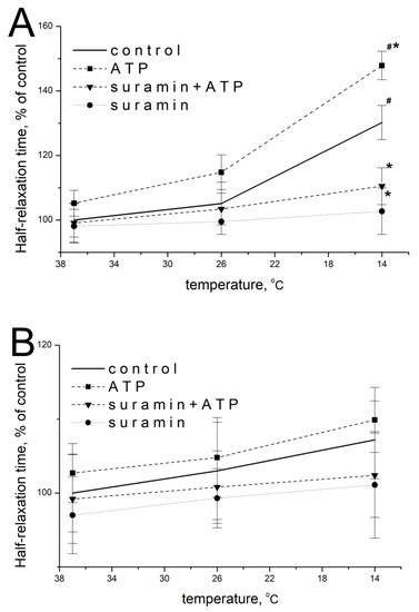 Effects of ATP on Time Parameters of Contractility of Rats’ Slow and ...