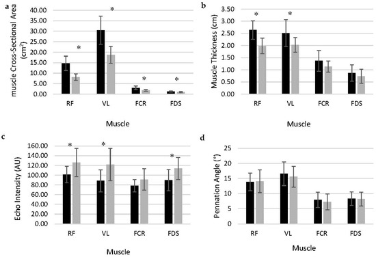 Muscles Free Full Text Sex Related Differences Of Weight Bearing