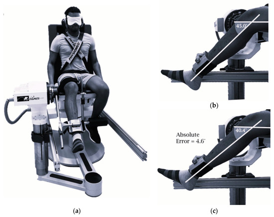 The Influence of Knee Proprioception and Strength on Lower-Limb ...