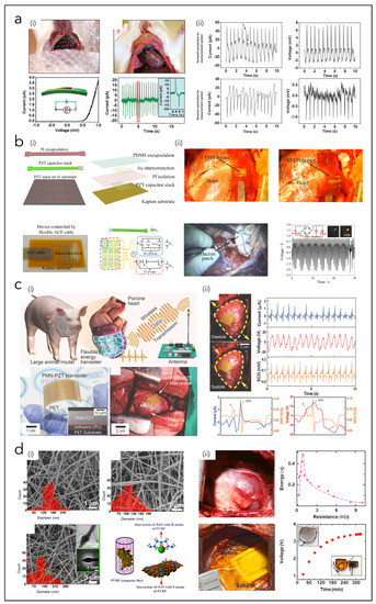 Heart Energy Harvesting and Cardiac Bioelectronics: Technologies and ...
