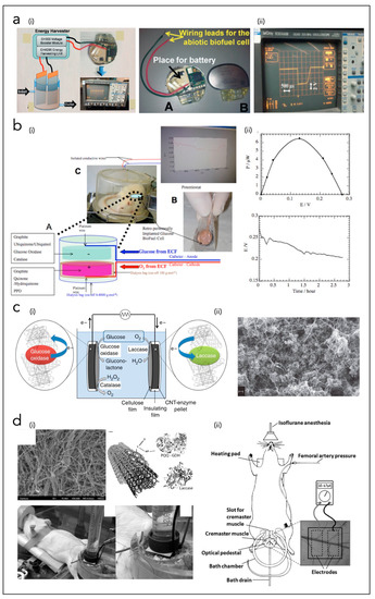 Heart Energy Harvesting and Cardiac Bioelectronics: Technologies and ...