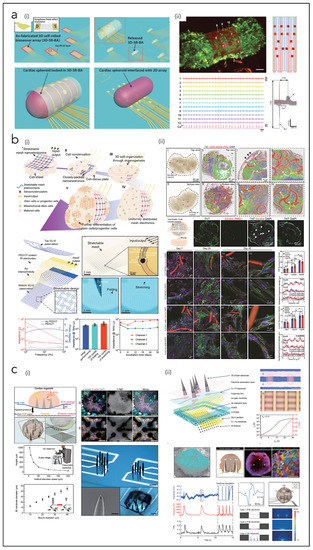 Heart Energy Harvesting and Cardiac Bioelectronics: Technologies and ...
