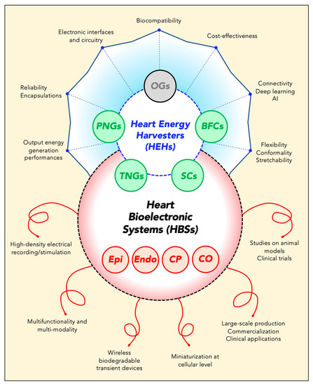 Heart Energy Harvesting and Cardiac Bioelectronics: Technologies and ...