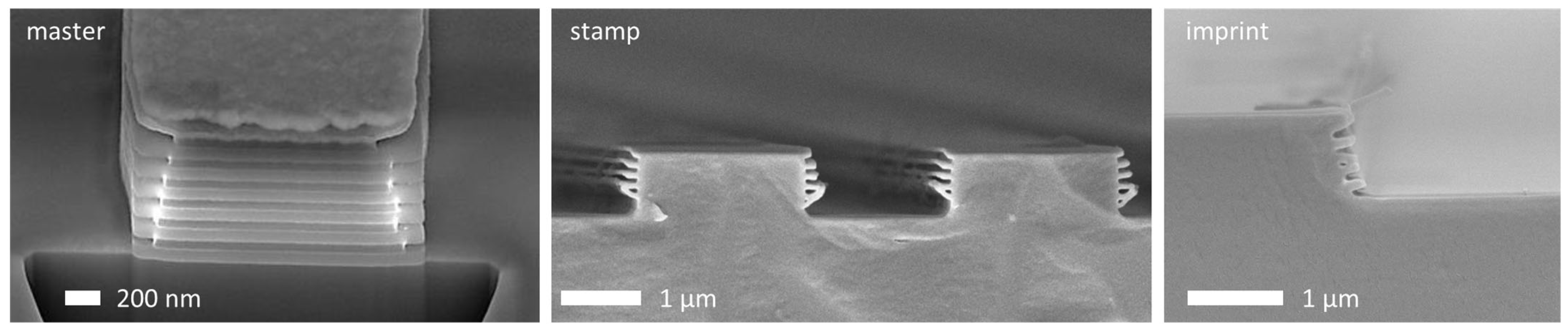 Nanoimprinting of Biomimetic Nanostructures