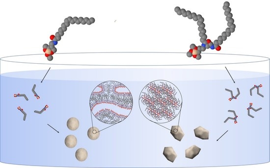 Nanomanufacturing | Free Full-Text | Lipid–Inorganic Hybrid Particles ...