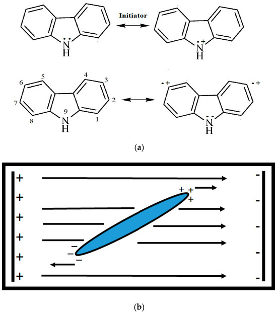 Preparation of Polycarbazole Nanofibers Using an Electric Field and the ...