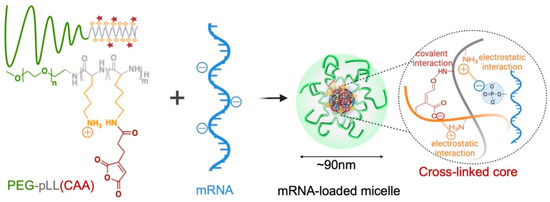 Nanomanufacturing | Free Full-Text | Mixed Copolymer Micelles for Nanomedicine