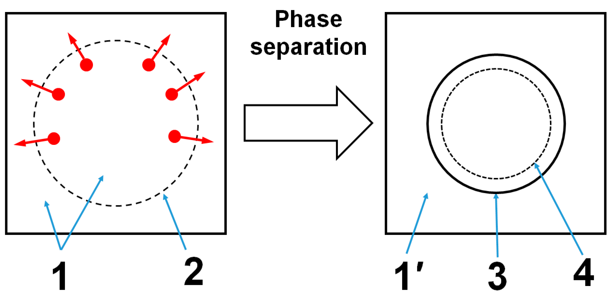 Thermodynamic Theory of Phase Separation in Nonstoichiometric Si Oxide ...