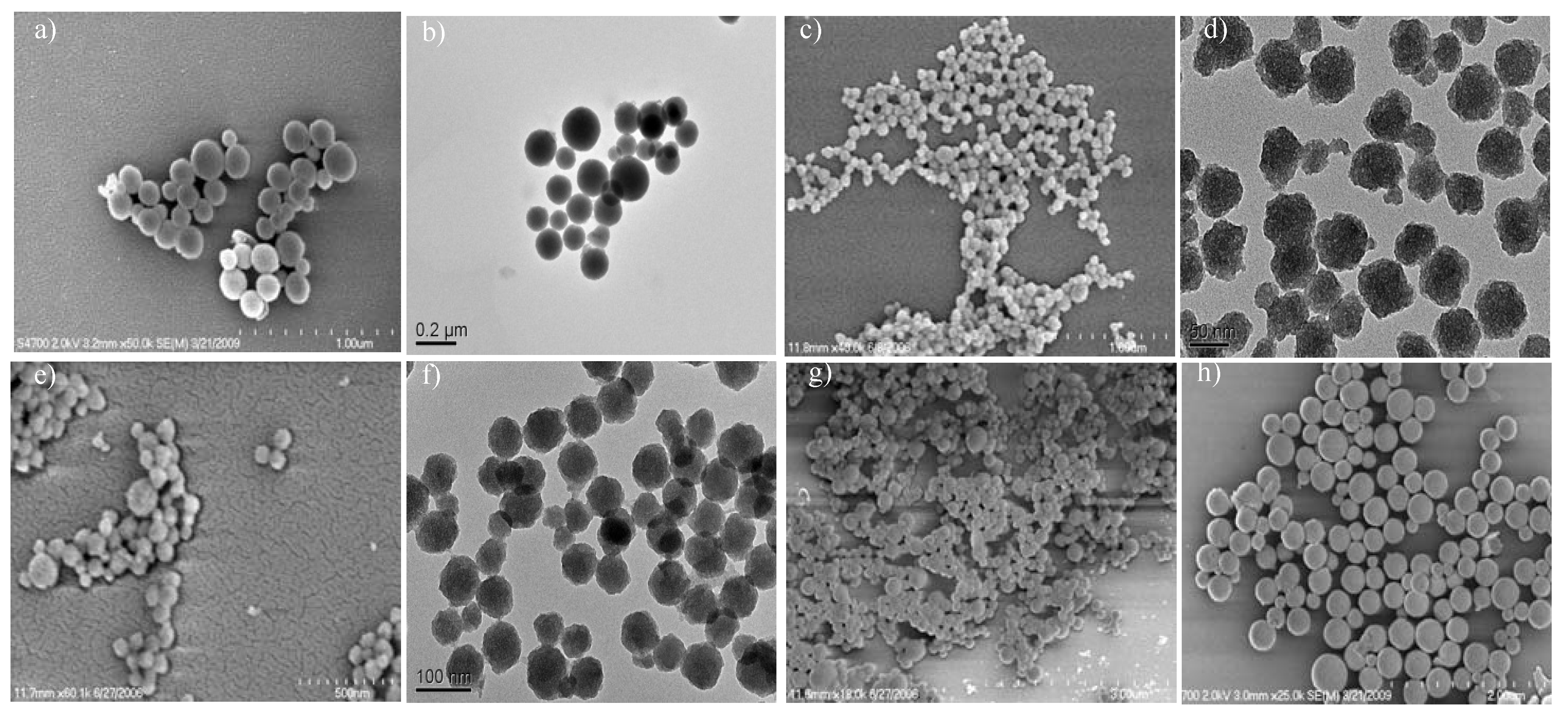 Mesoporous Silica Nanoparticles with Co-Condensed Gadolinium Chelates ...