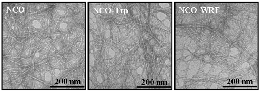 Nanomaterials | Special Issue : Composite Nanomaterials