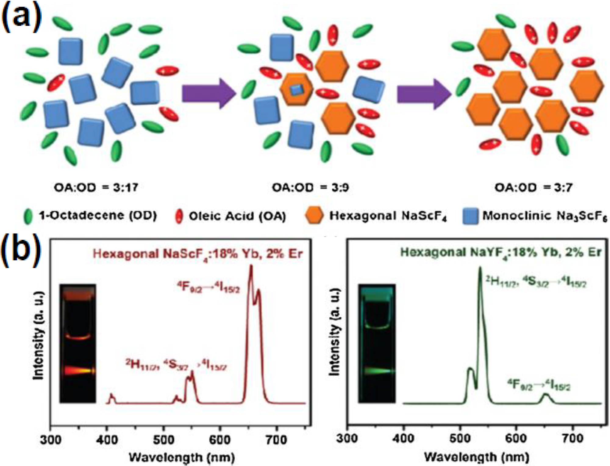Rare Earth Ion-Doped Upconversion Nanocrystals: Synthesis and Surface ...