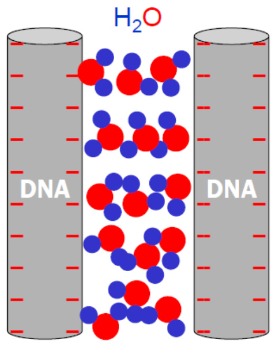 DNA under Force: Mechanics, Electrostatics, and Hydration