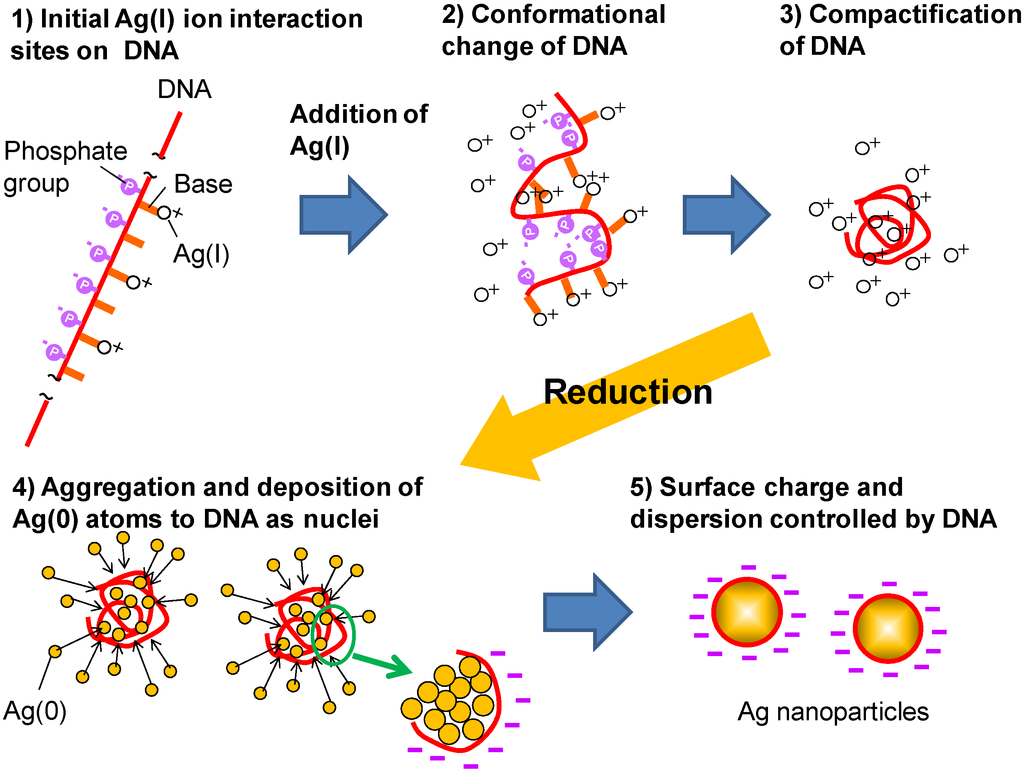Nanomaterials | Special Issue : Frontiers in Nucleic Acid Nanotechnology
