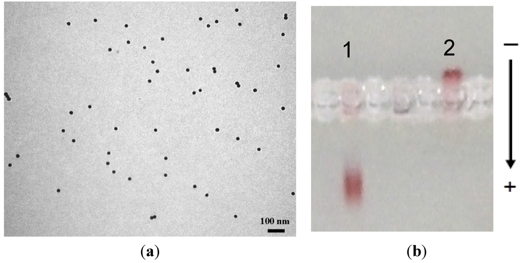Facile Attachment of TAT Peptide on Gold Monolayer Protected Clusters ...