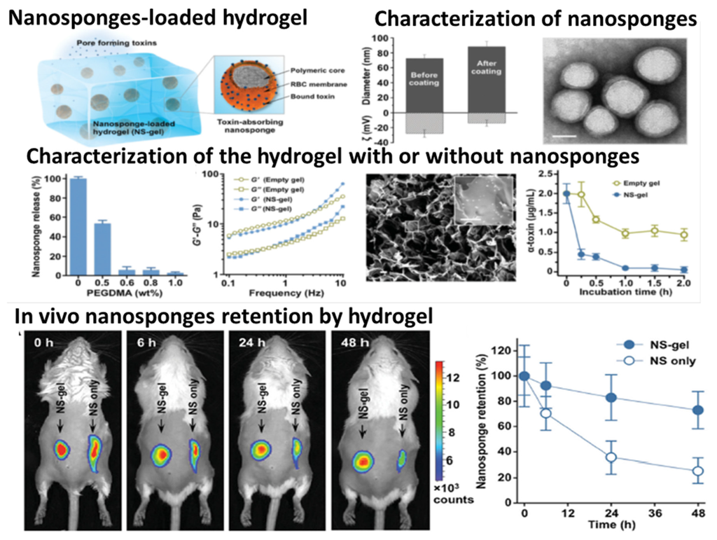 Composites of Polymer Hydrogels and Nanoparticulate Systems for ...