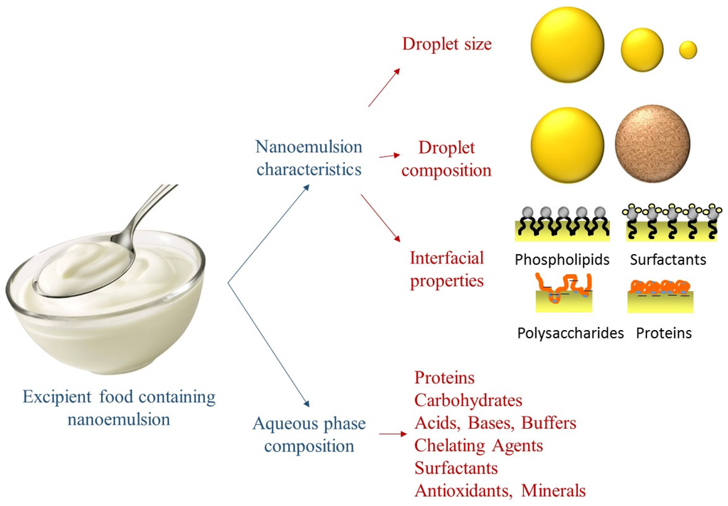 Excipient Nanoemulsions for Improving Oral Bioavailability of Bioactives