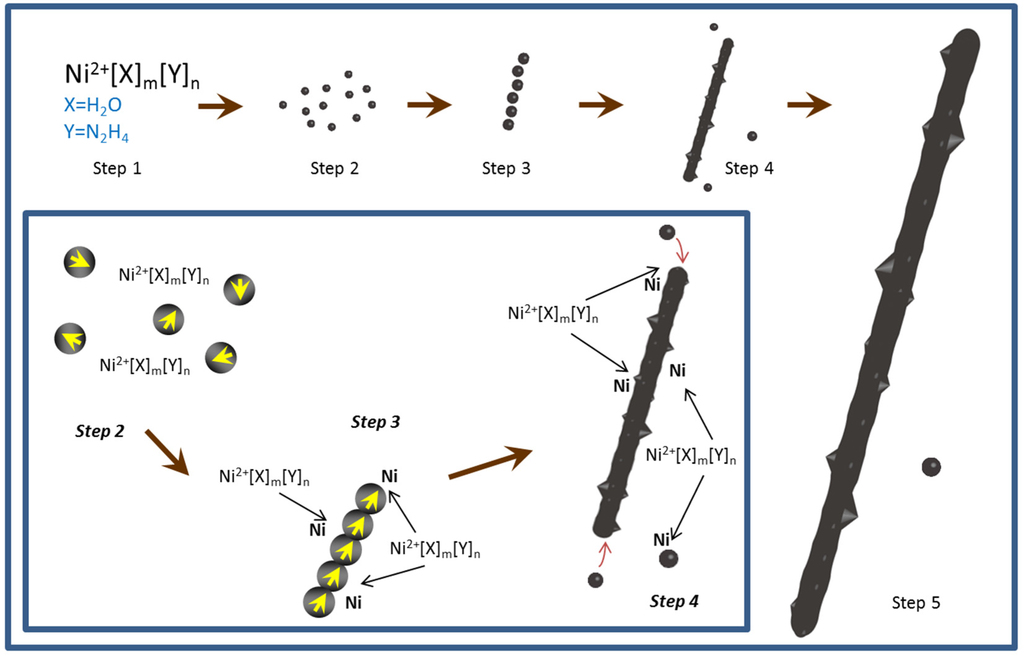 Nanomaterials | Special Issue : Nanoparticles in Bioimaging