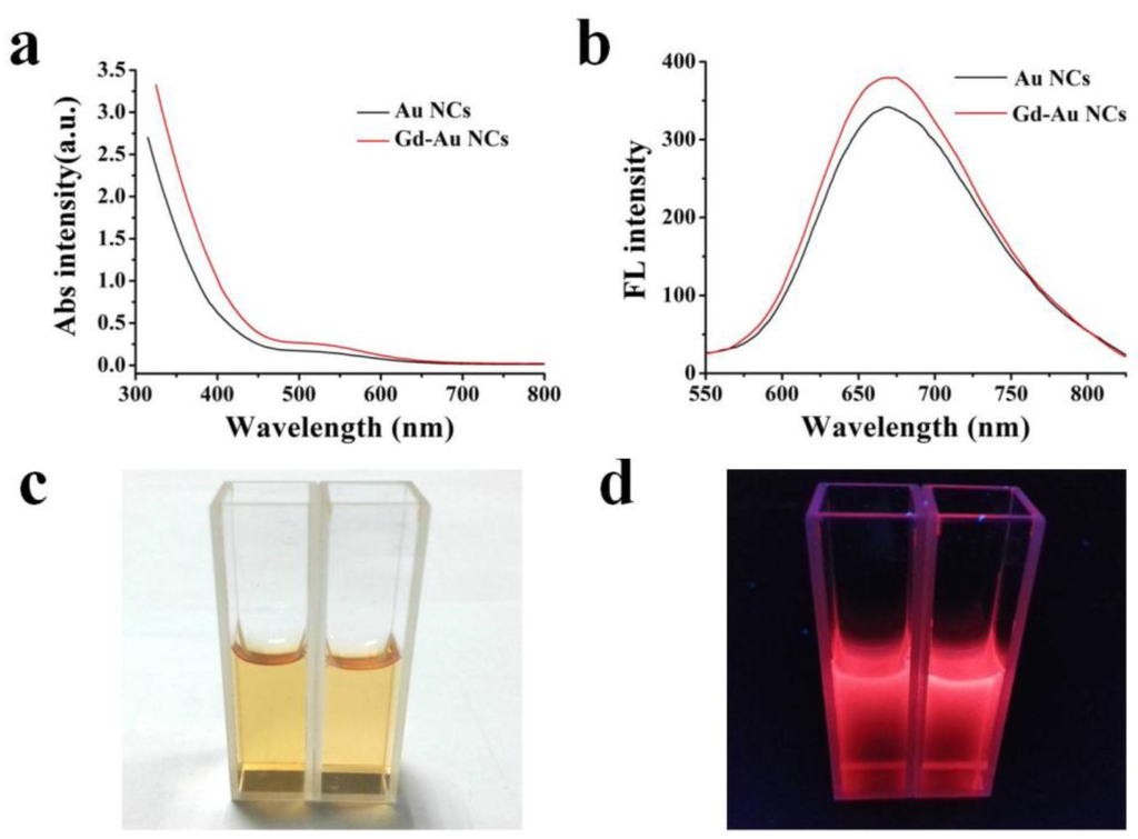 Nanomaterials | Special Issue : Nanoparticles in Bioimaging