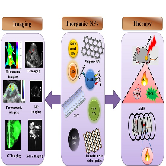 Nanomaterials | Free Full-Text | Multifunctional Inorganic ...