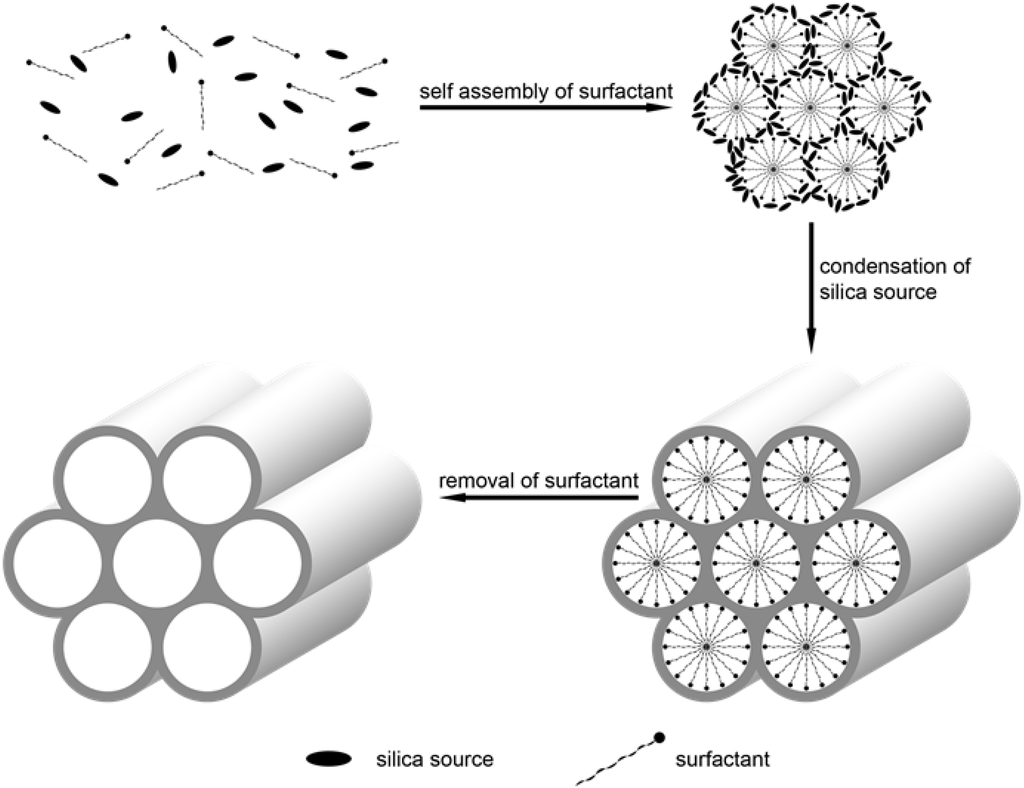 Dye-Doped Fluorescent Silica Nanoparticles for Live Cell and In Vivo ...