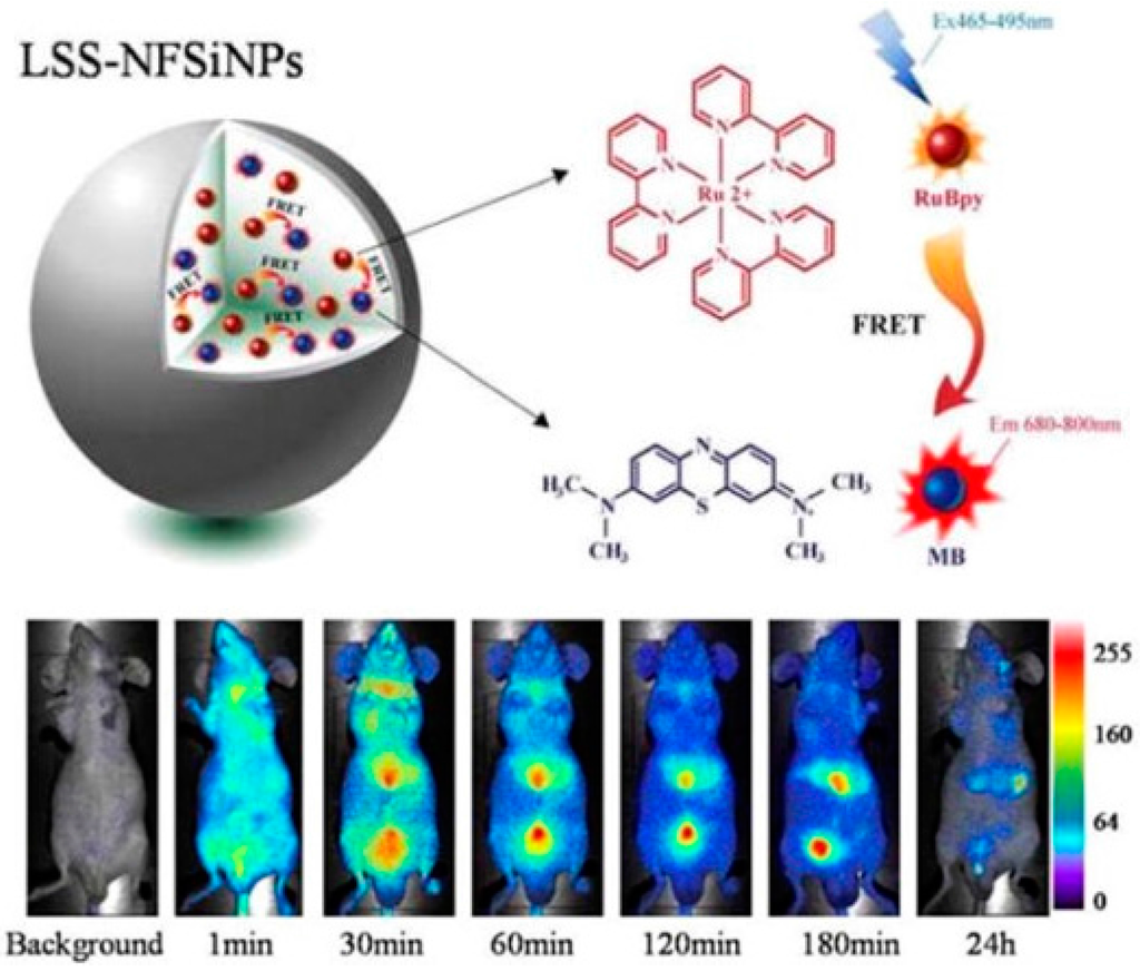 Nanomaterials | Special Issue : Nanoparticles in Bioimaging