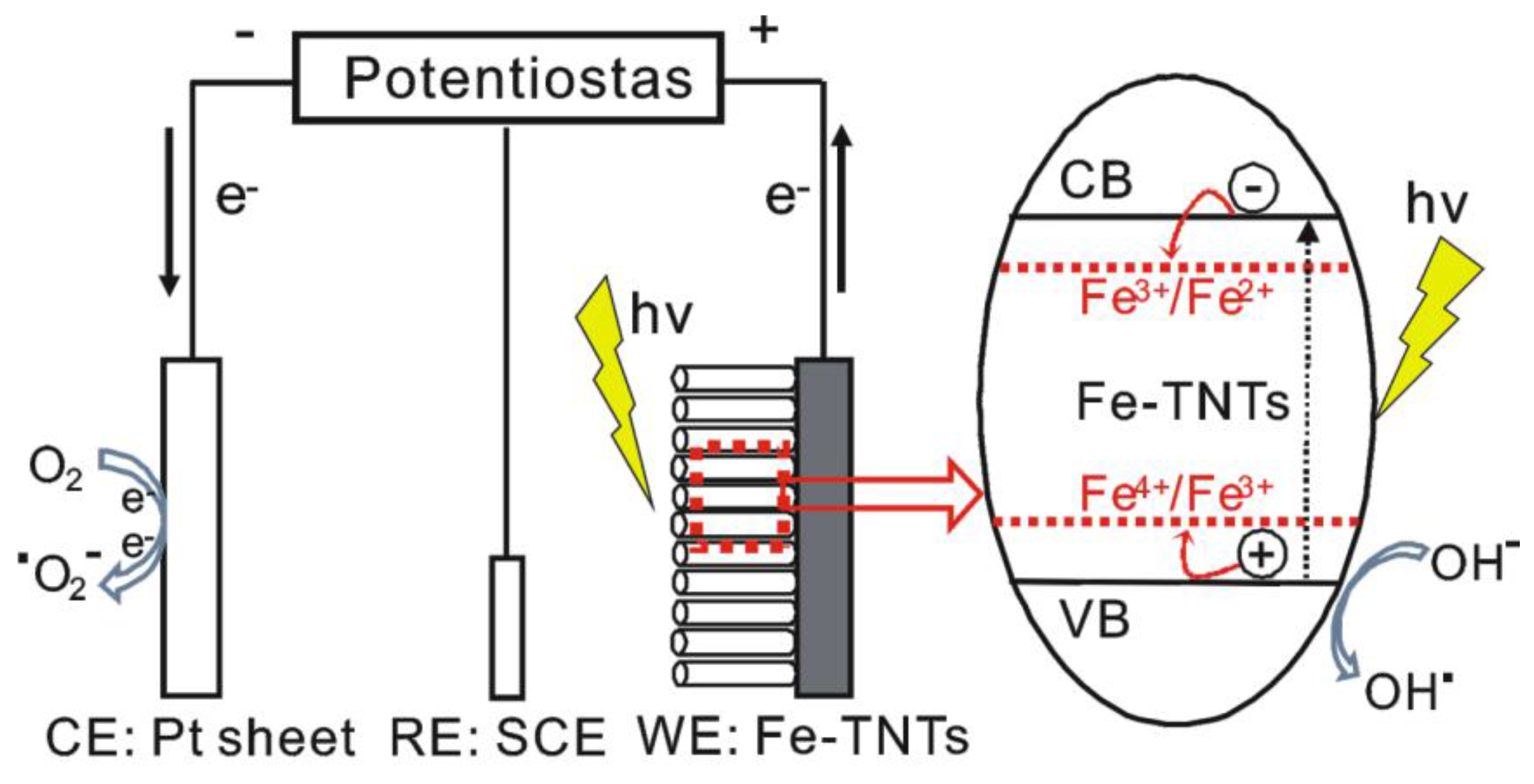 Fe3+-Doped TiO2 Nanotube Arrays on Ti-Fe Alloys for Enhanced ...