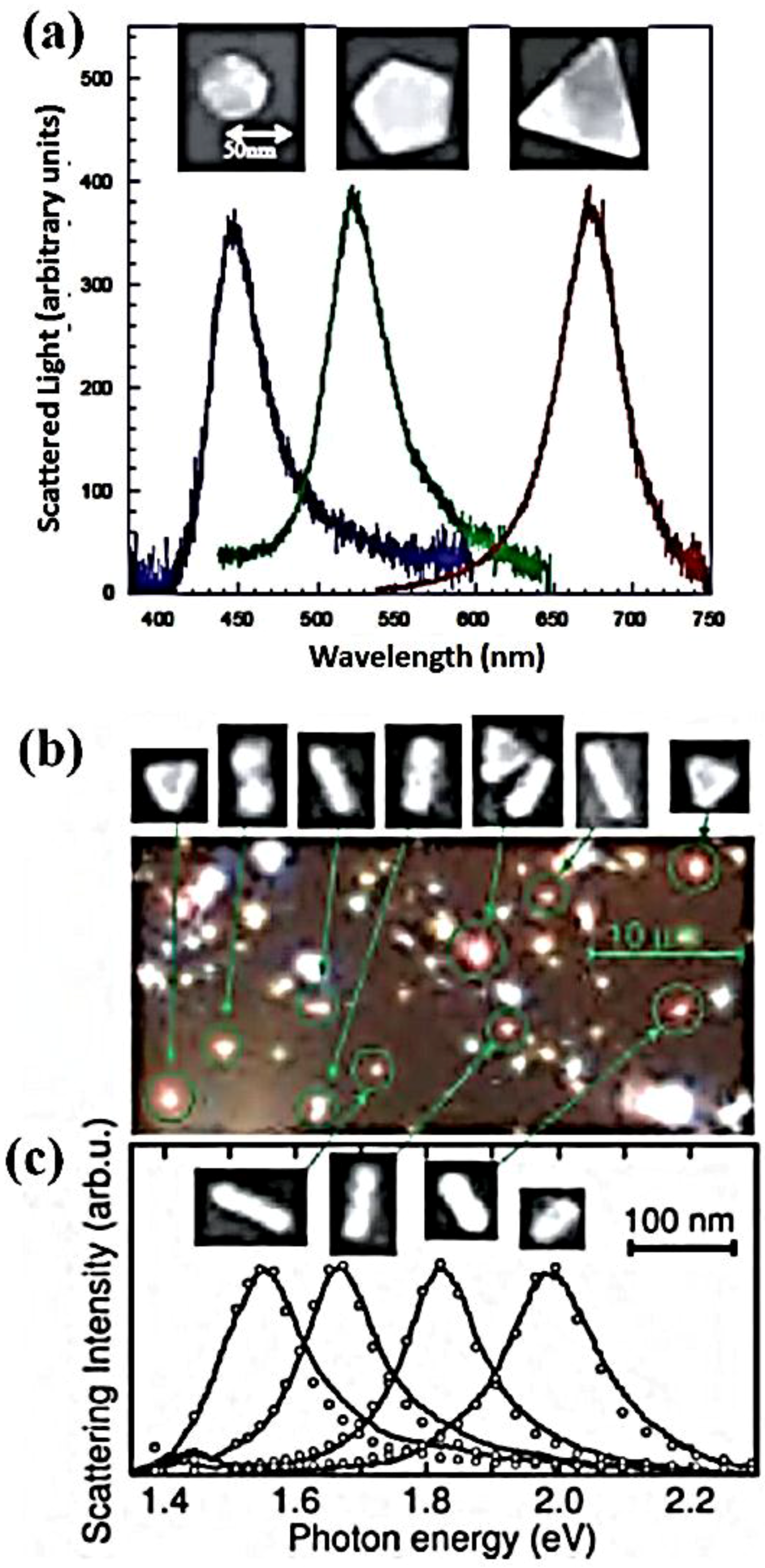 Complex-Morphology Metal-Based Nanostructures: Fabrication ...